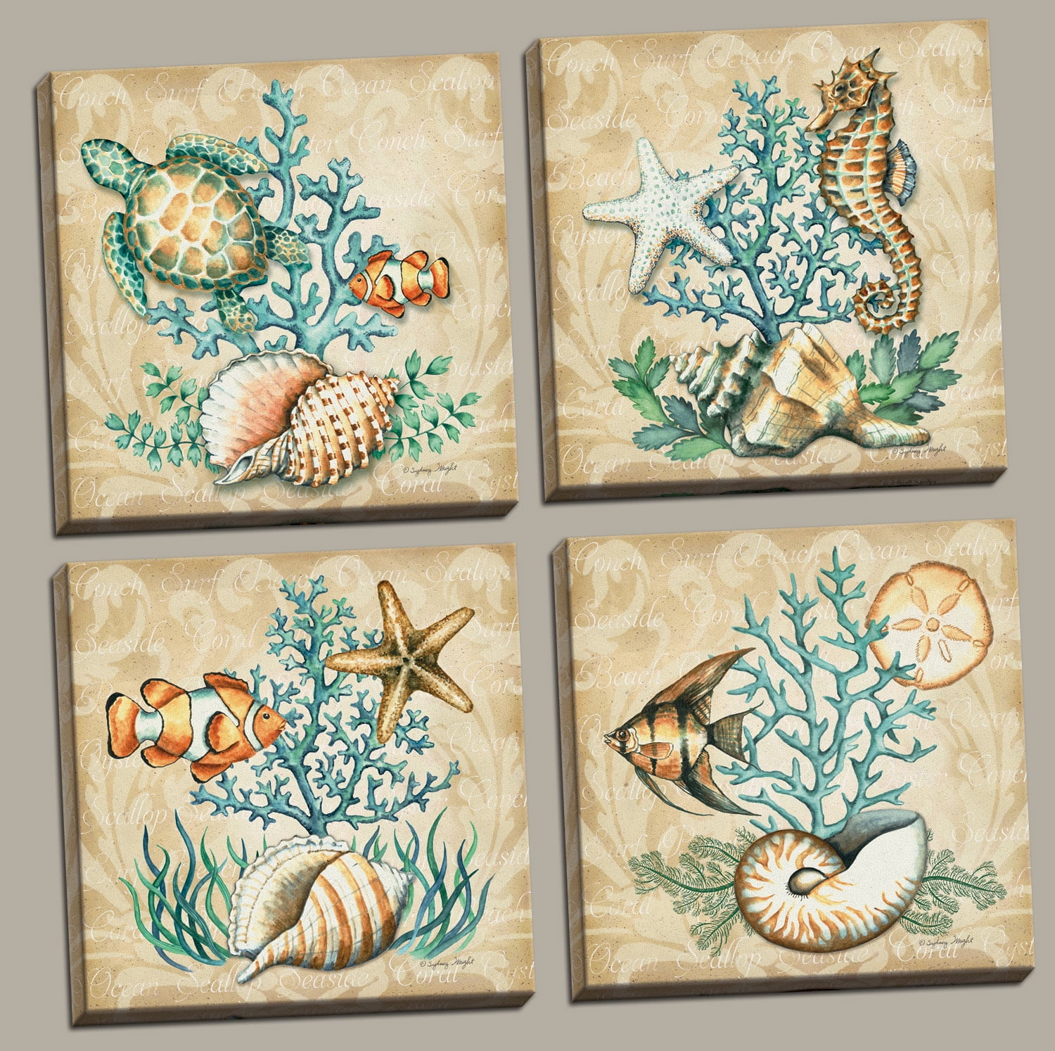Sea Life Still Life Collages; Shells, Seahorses, Reef Fish, Starfishes ...