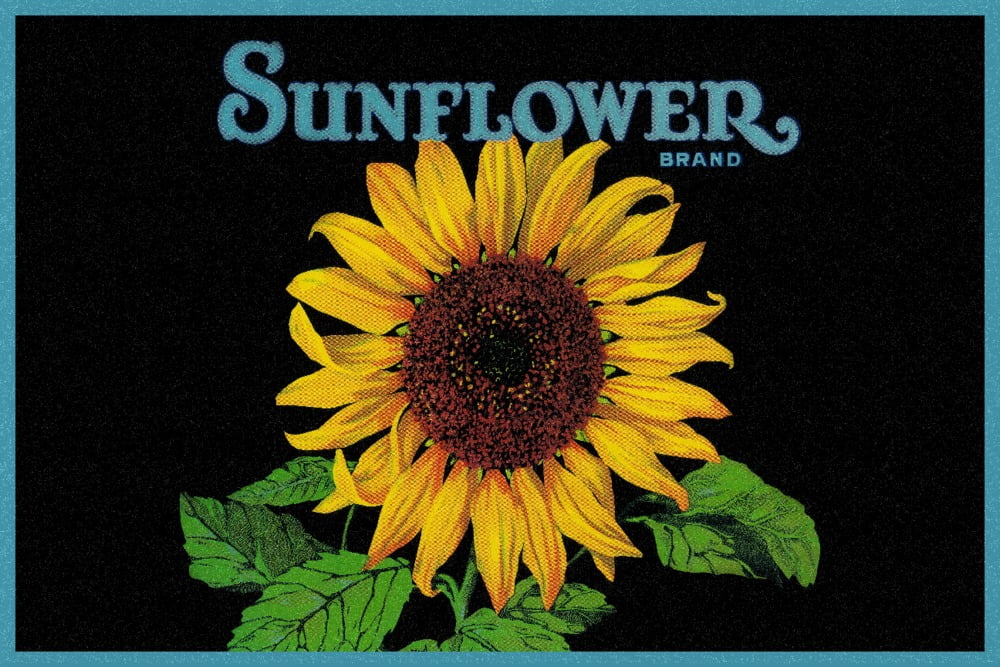 Sunflower Brand Crate Label (12x18 Wall Art Poster, Room Decor ...