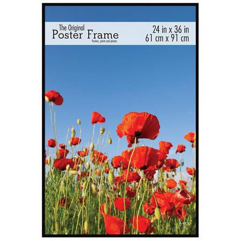24 X 36 Poster Frame Walmart