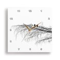 3drose, Two Pigeons on a Birch Tree Branch. Black and White Photo ...