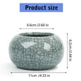 Artistic Smooth Hydroponic Container For Indoor Plant Organization ...