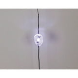 Darice Moon Lights: 20 Clear Skull LED Lights, Black Cord - Walmart.com