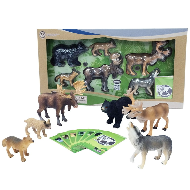 North American Forest Animals
