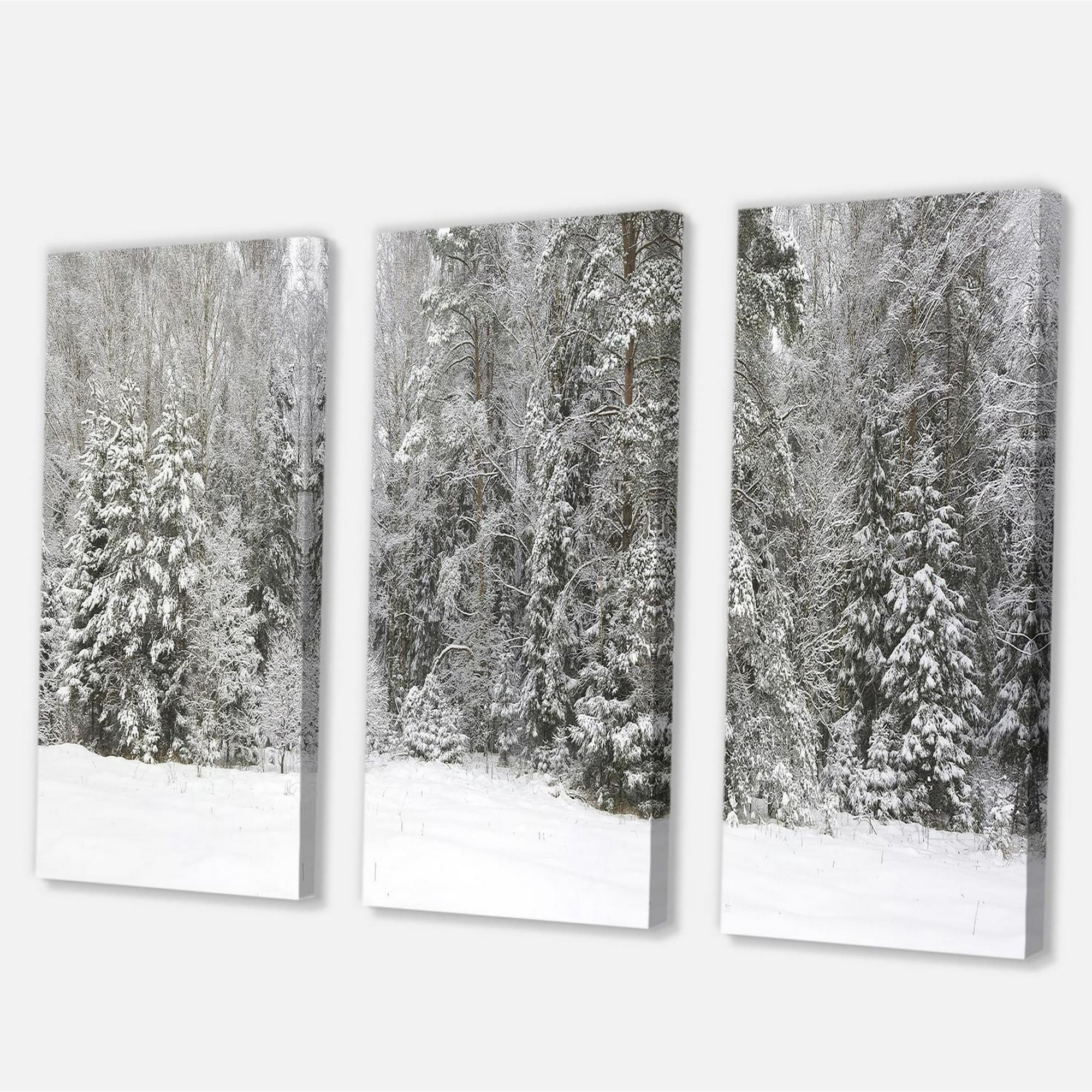 Click here for Designart Foggy Winter Forest Panorama Canvas Wall... prices