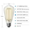 Feit Electric 18574 - ST19100CL/930CA/4 Edison Style Antique Filament ...