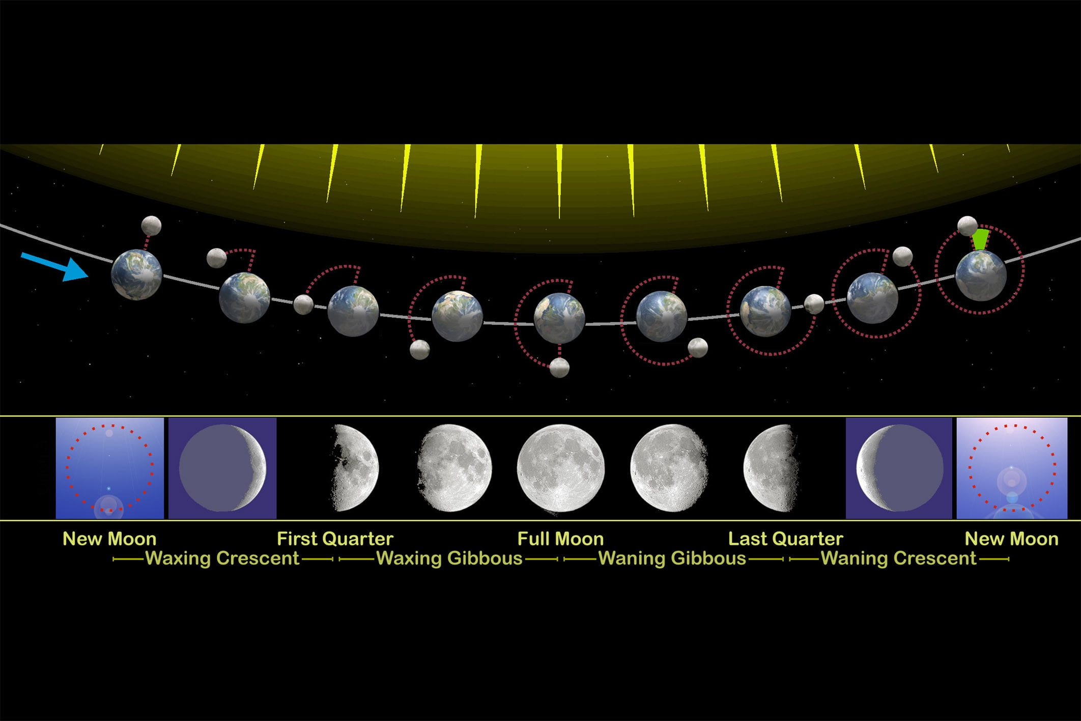 24x36 gallery poster, Moon phases with sunlight angle - Walmart.com