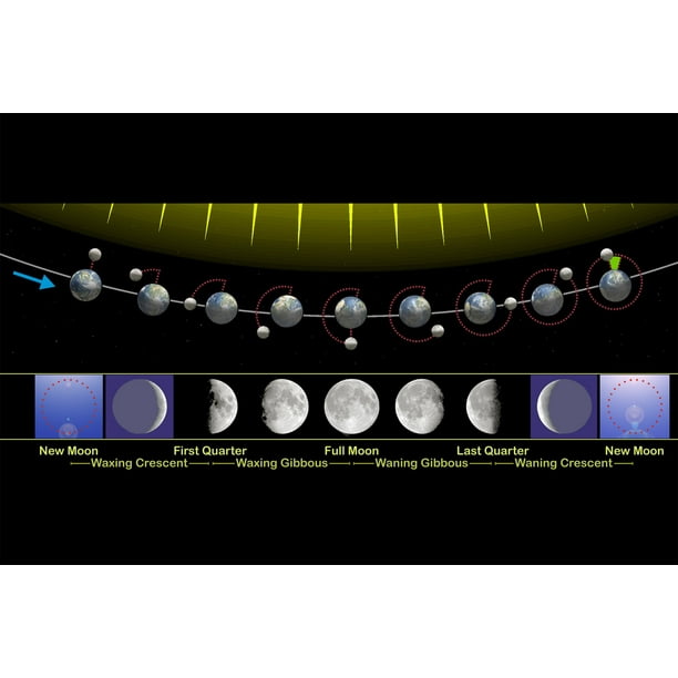 24x36 gallery poster, Moon phases with sunlight angle - Walmart.com