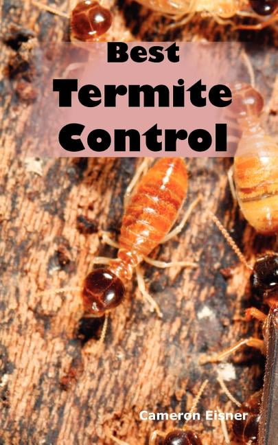 Best Termite Control : All You Need to Know about Termites and How to ...