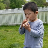 Melissa & Doug Band-in-a-Box Hum! Jangle! Shake! - 7-Piece Musical ...