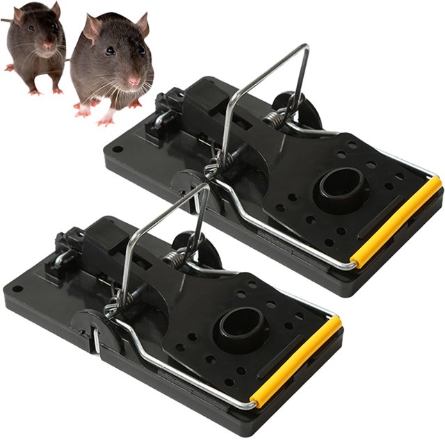 Elbourn 2-Pack Rat Trap, Mouse Traps Snap Traps Rodent Trap for Indoor ...