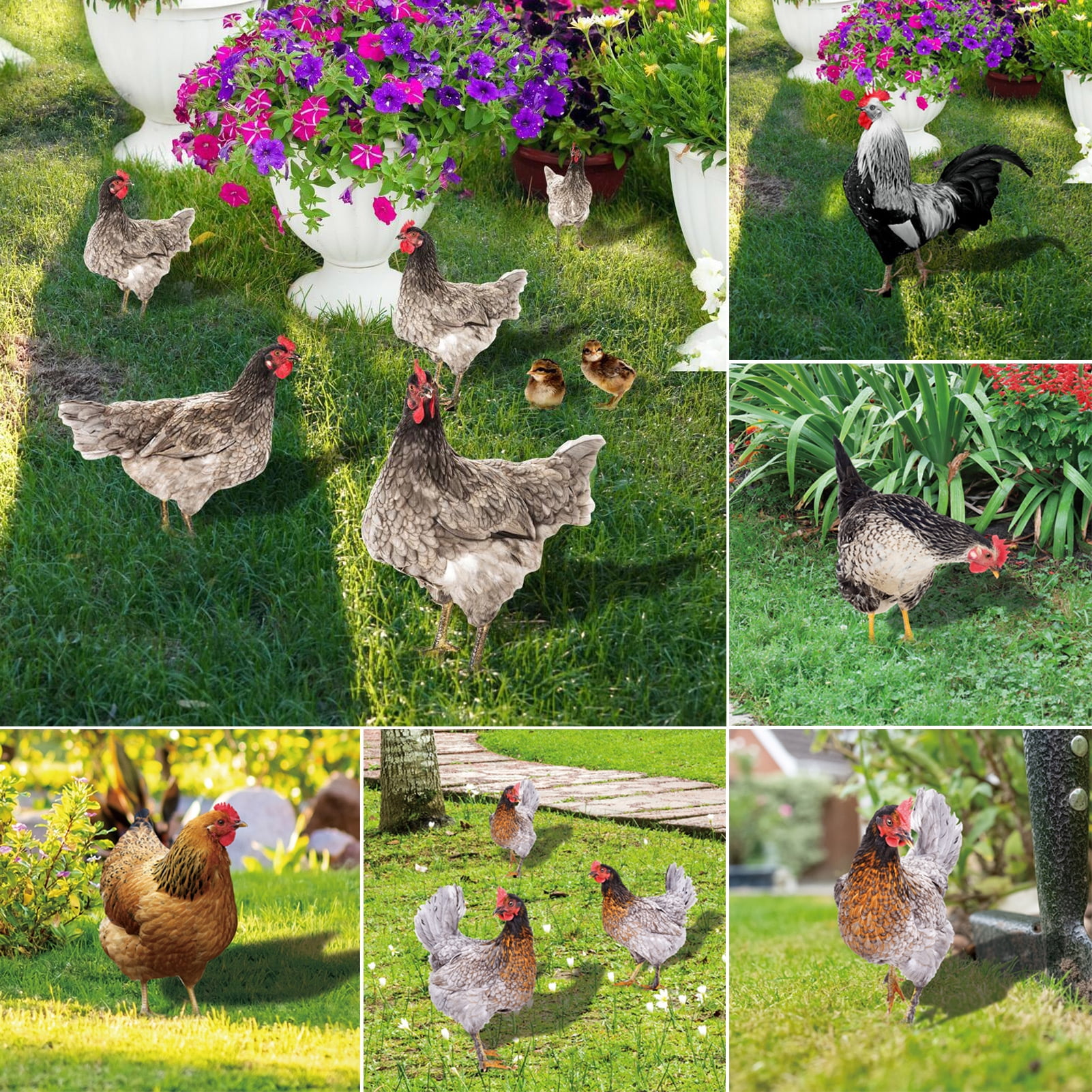 Yesbay Rooster Decor Realistic Life-like Ornamental Double-sided ...