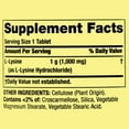 Spring Valley L-Lysine Dietary Supplement Tablets for Tissue Health ...