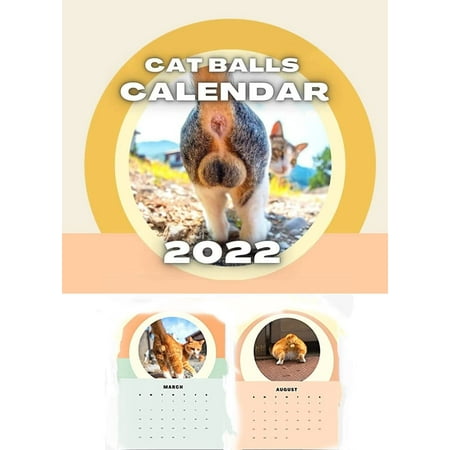 Cats Buttholes Calendar 2022 Lazy Cat Calendar, Funny Animal Calendars ...