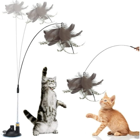 CHIKEN Interactive Cat Toy Feathers, Interactive Cat Fishing Rod with ...