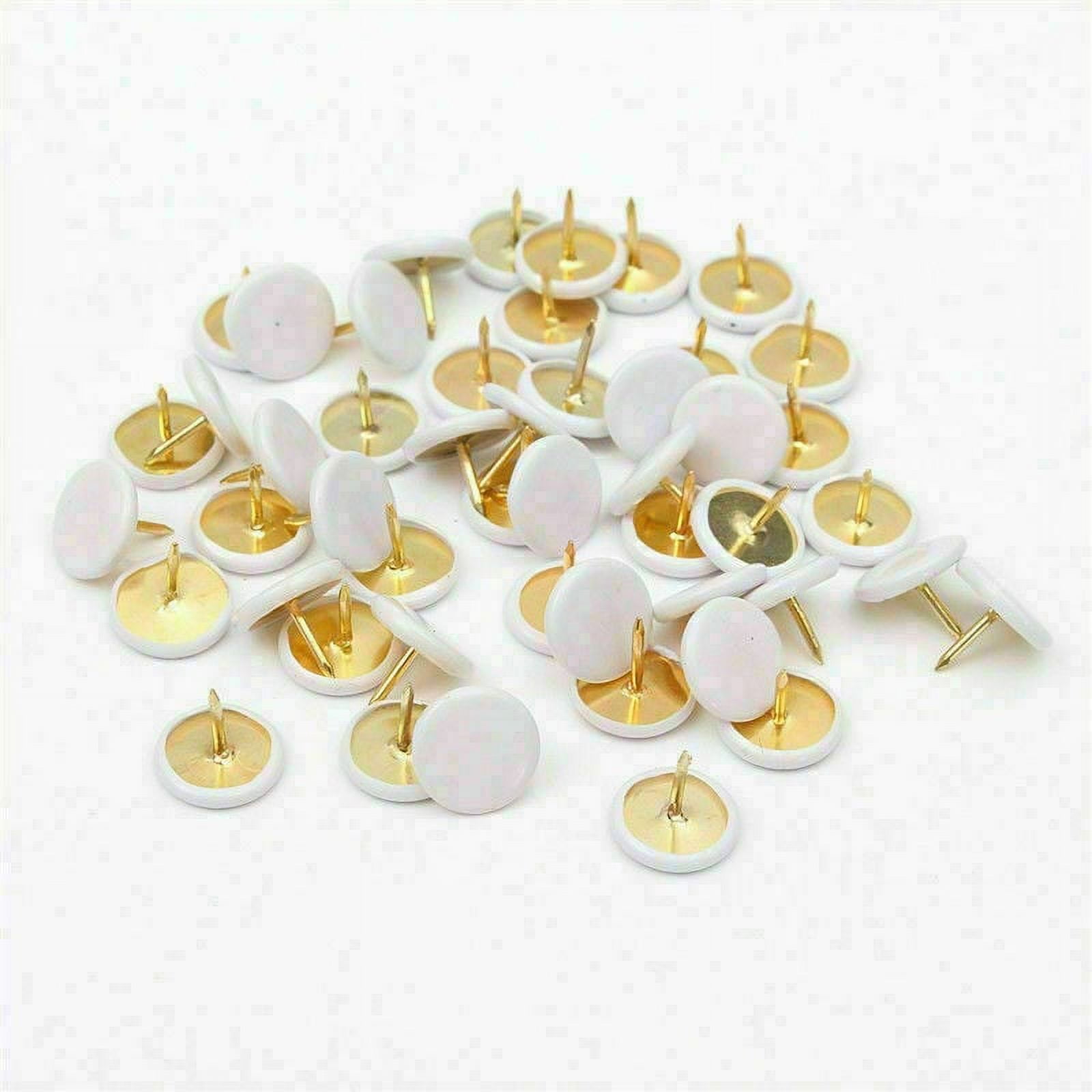 Chinchetas de colores, 10 mm, 100 unidades con chinchetas a juego ...