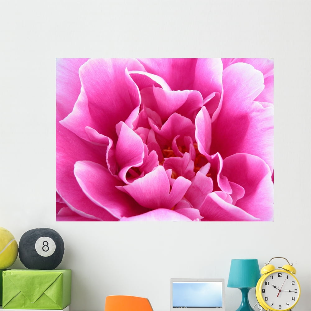 Bright Pink Flower Wall Mural Decal by Wallmonkeys Vinyl Peel and Stick ...