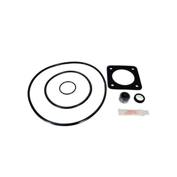 Sta Rite Pump Seal Kit