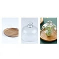Clearance!Clear Glass Dessert/Cheese Cloche Dome Small Dessert Plate ...