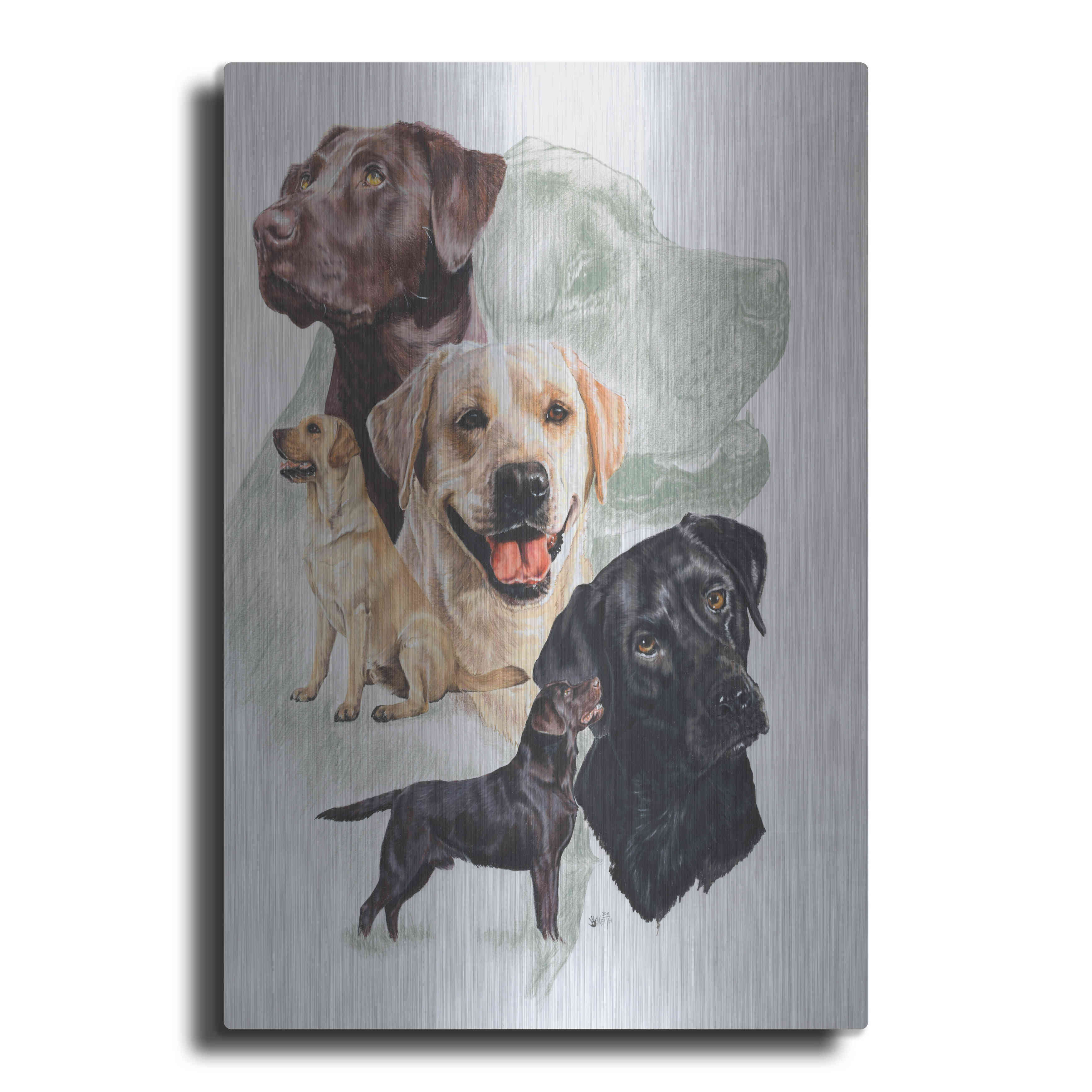Luxe Metal Art 'Labrador 2' by Barbara Keith, Metal Wall Art, 16"x24 ...