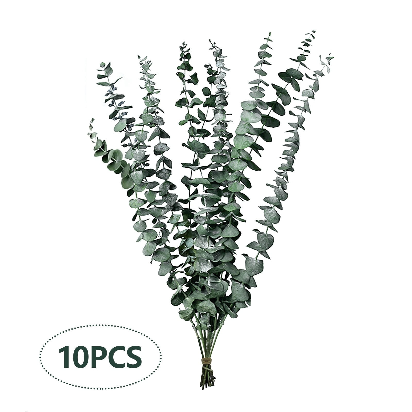 Click here for Clearance! Beneky Eucalyptus Leaf Dried Flower Bou... prices