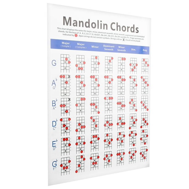 Mandolin Chords, Musical Instruments Accessories Practical Coated Long ...