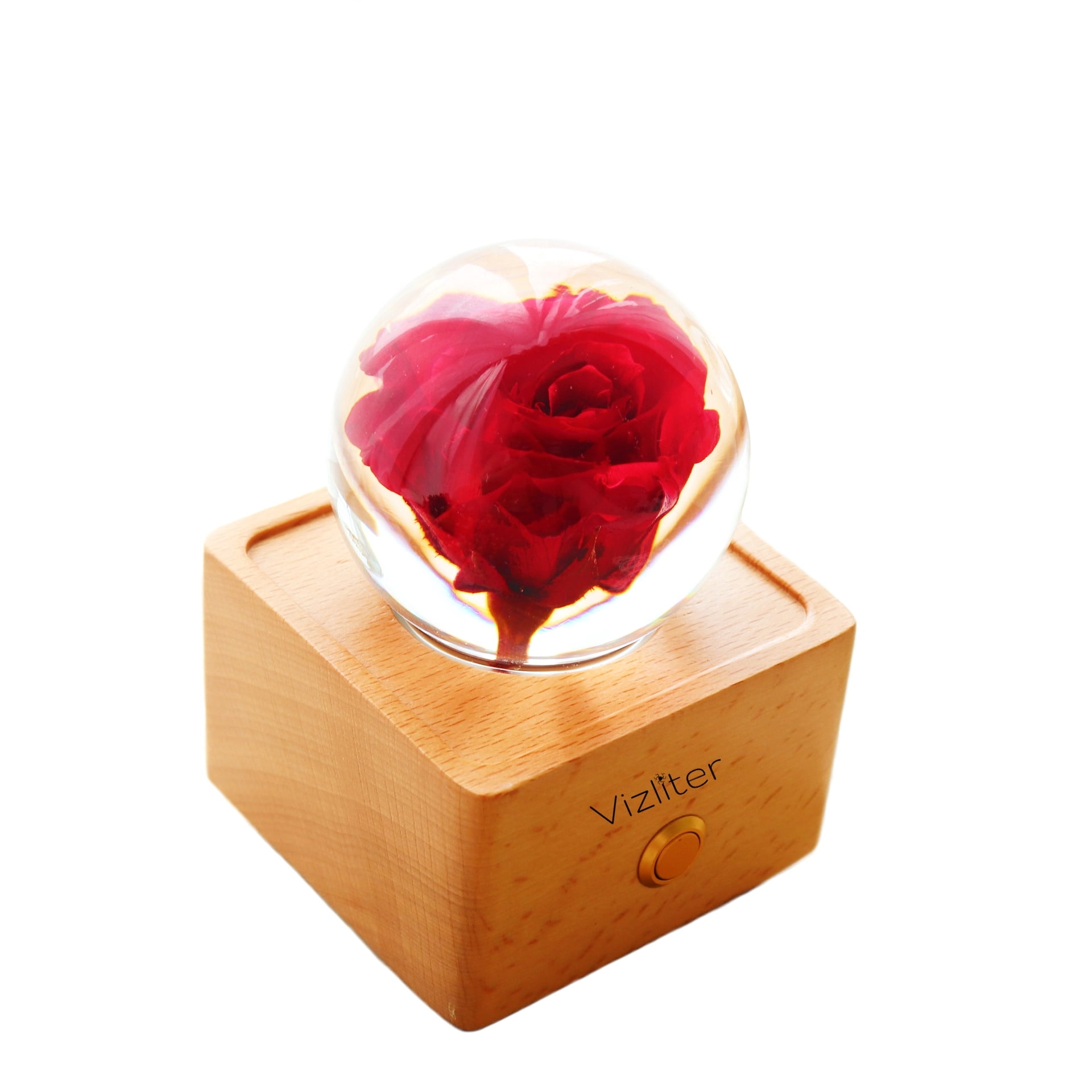 Vizliter Bluetooth Speaker Crystal Ball LED Lighting Preserved Fresh ...