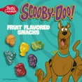 Scooby Doo Fruit Flavored Snacks, Treat BSL1 Pouches, Gluten Free Snack ...