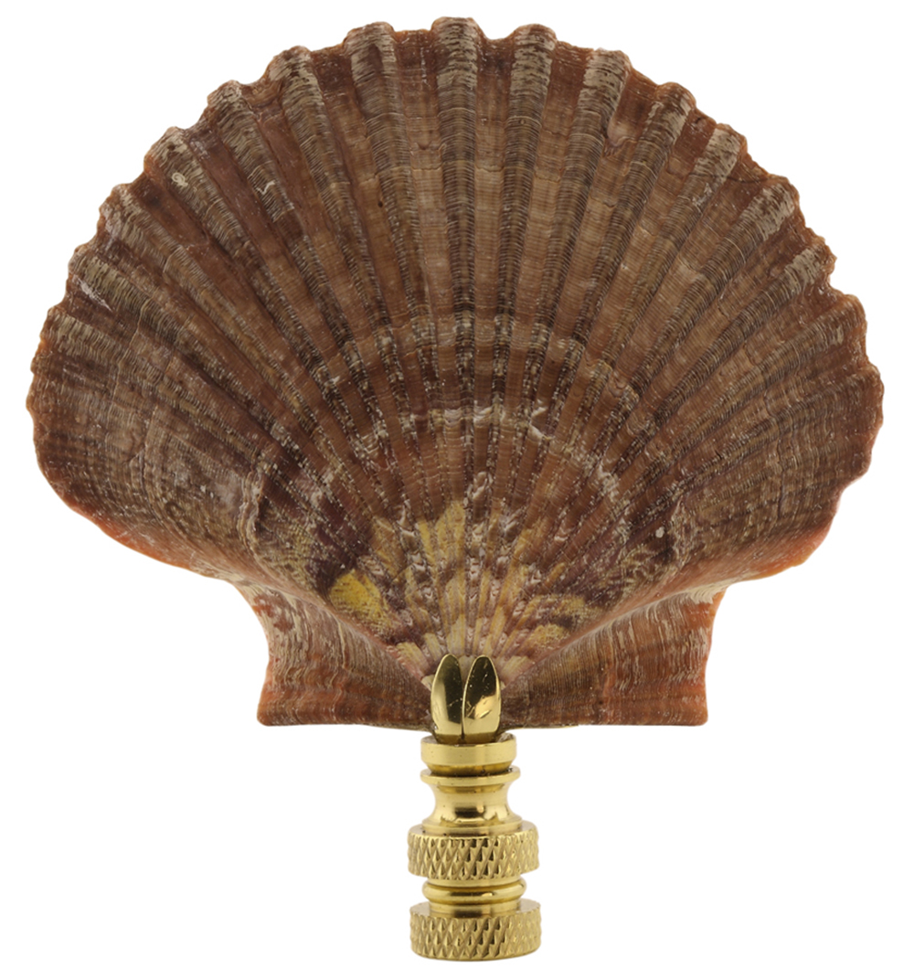 Mexican Flat Sea Shell Finial 3"h - Walmart.com