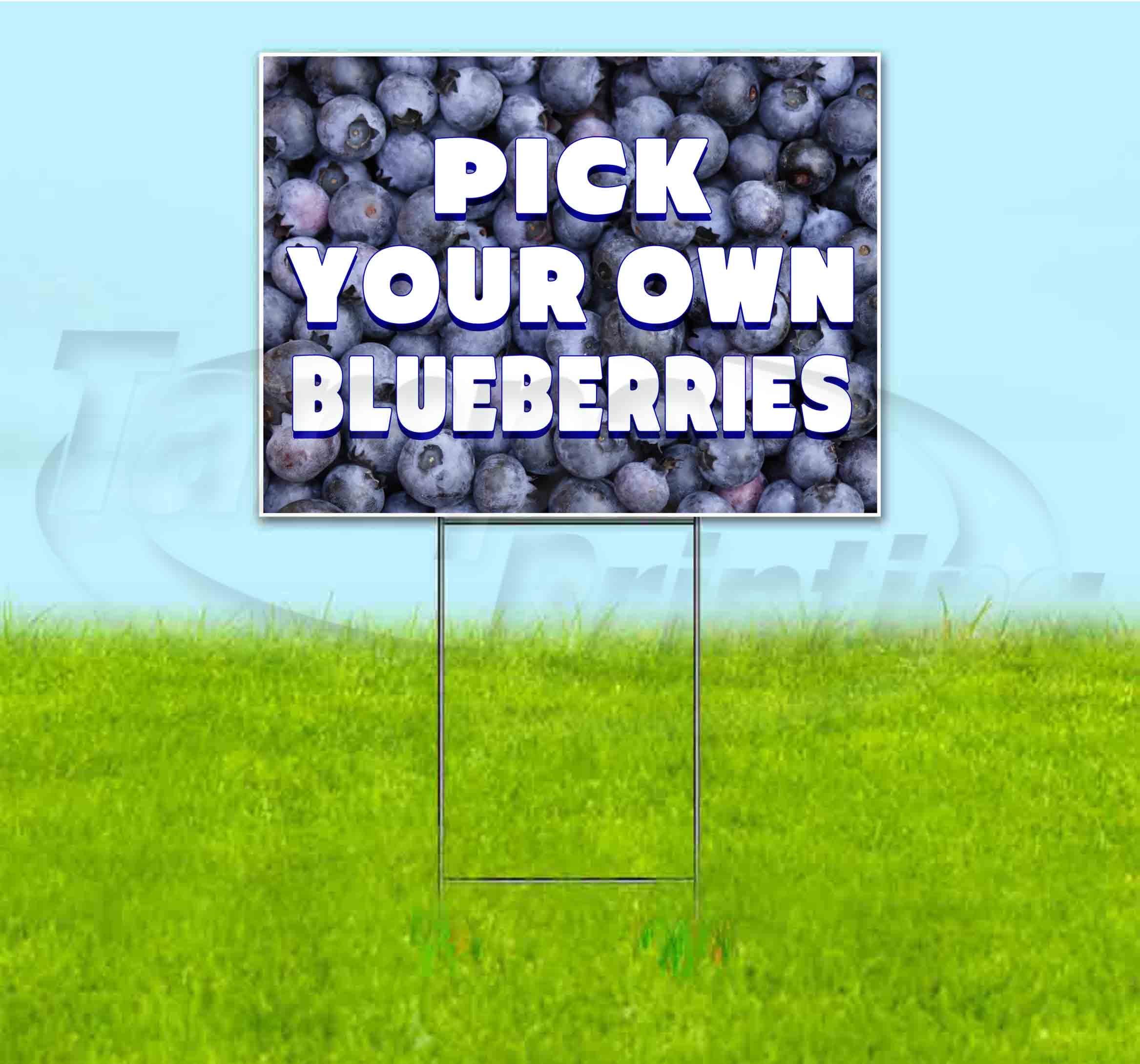 Pick Your Own Blueberries (18" x 24") Yard Sign, Includes Metal Step ...