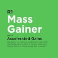 Rule 1 Proteins Mass Gainer - High-Calorie Weight Gain Formula with ...
