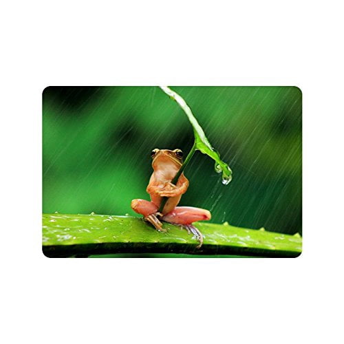 WinHome Funny Frog Doormat Floor Mats Rugs Outdoors/Indoor Doormat Size ...