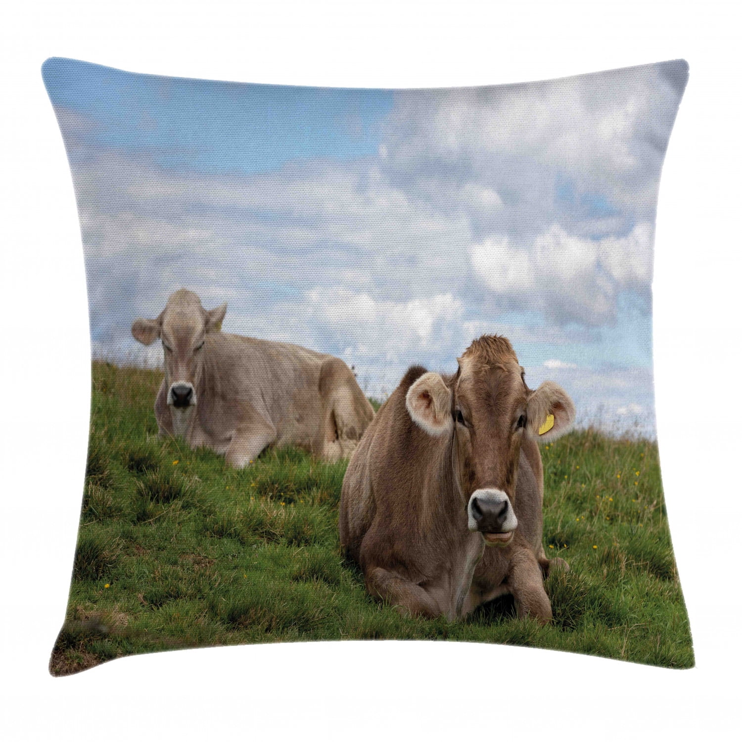 Farm Animal Throw Pillow Cushion Cover, Agriculture Themed Photo of ...