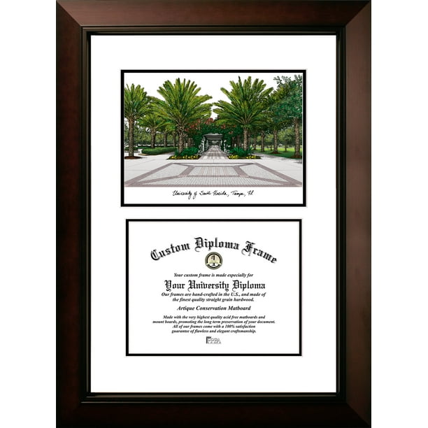 University of South Florida 8.5" x 11" Legacy Scholar Diploma Frame ...