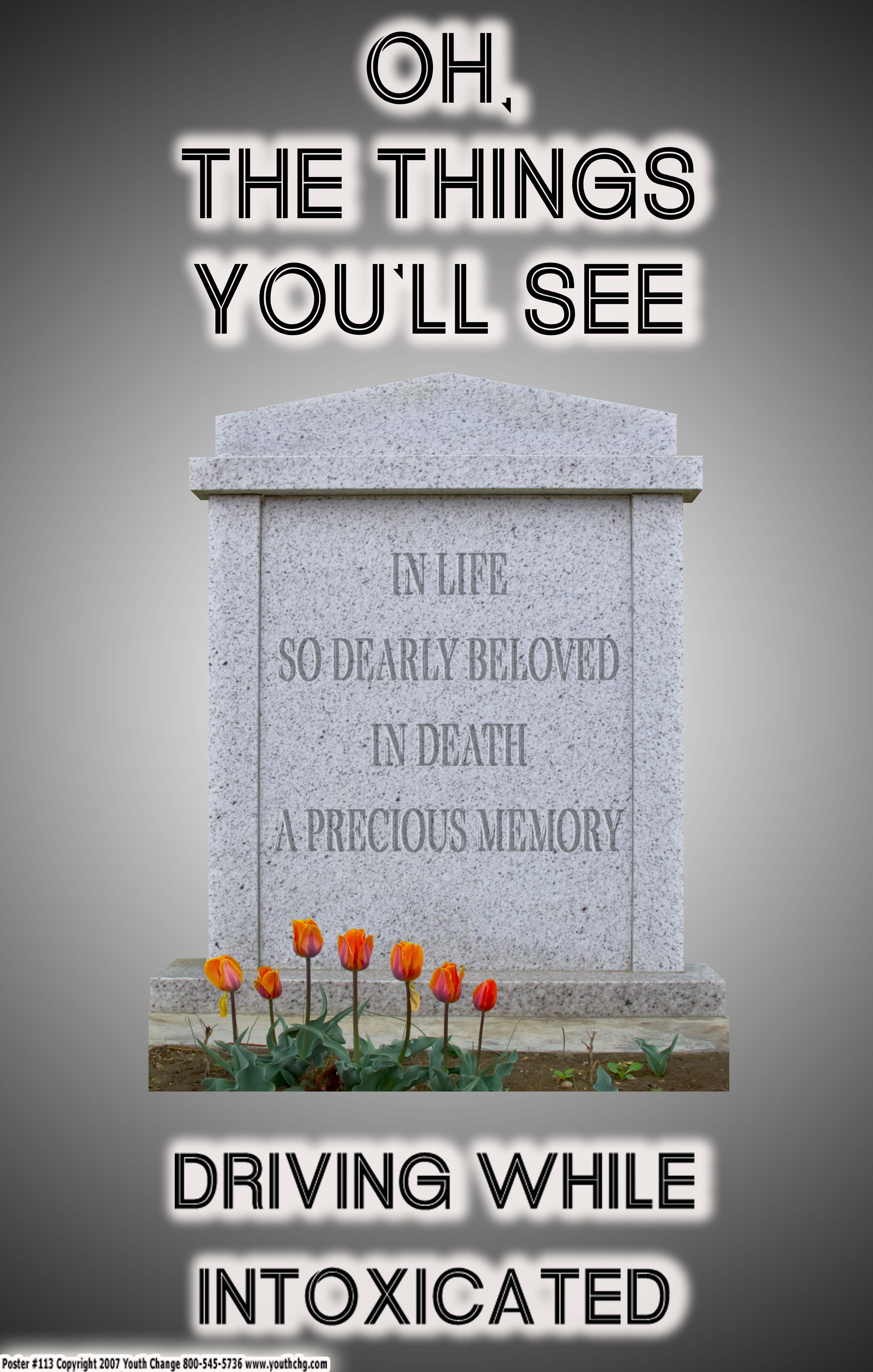 Youth Change Poster #113 Don't Drink and Drive, DWI, DUI Prevention ...