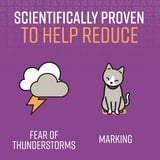 SENTRY Calming Diffuser for Cats and Kittens, 30-Day Release Plug-in ...