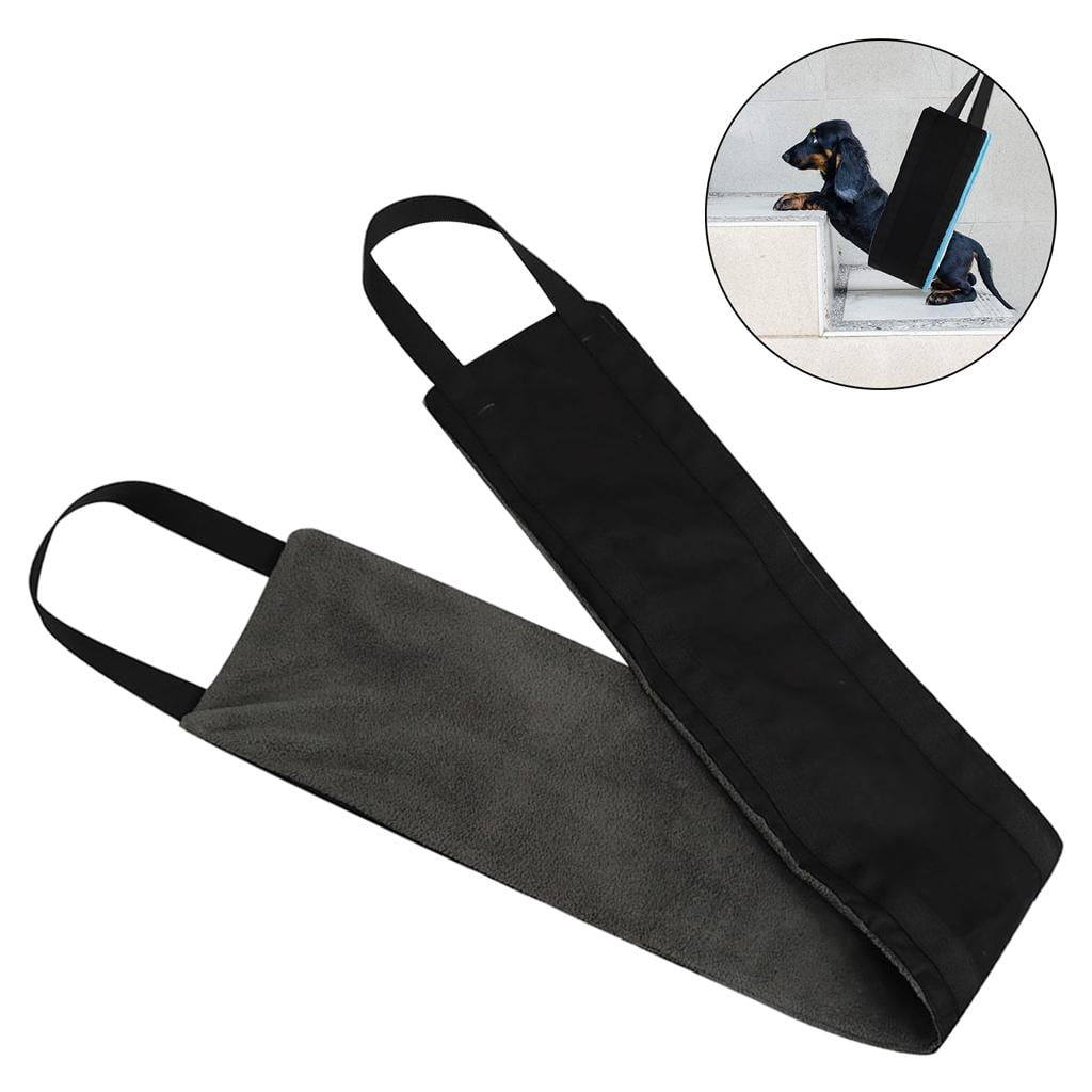 Portable Dog Lift for Rear Legs, Hip Support Lifting Harness Assist ...