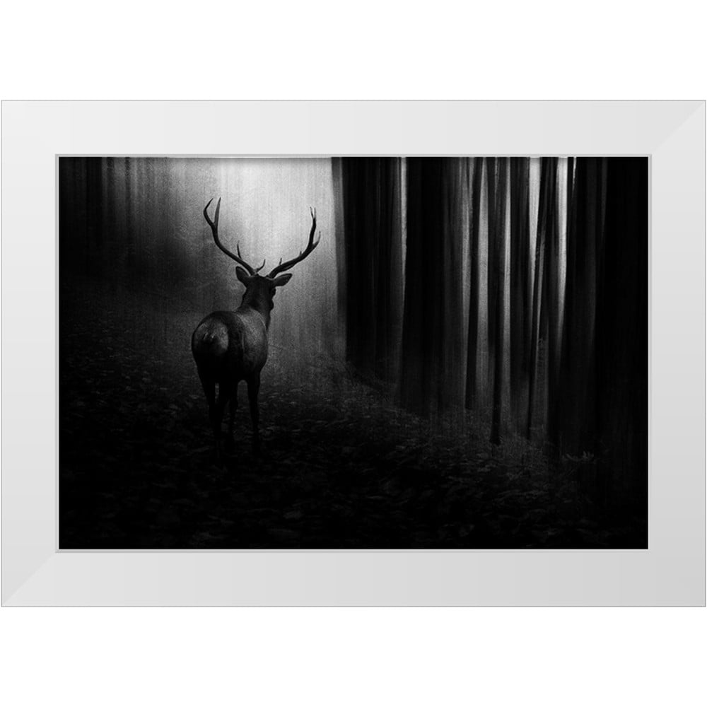 Reindl, Doris 24x17 White Modern Wood Framed Museum Art Print Titled ...