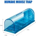 JahyShow Humane Live Rodent Trap | No Kill Mouse Trap | Indoor/Outdoor ...