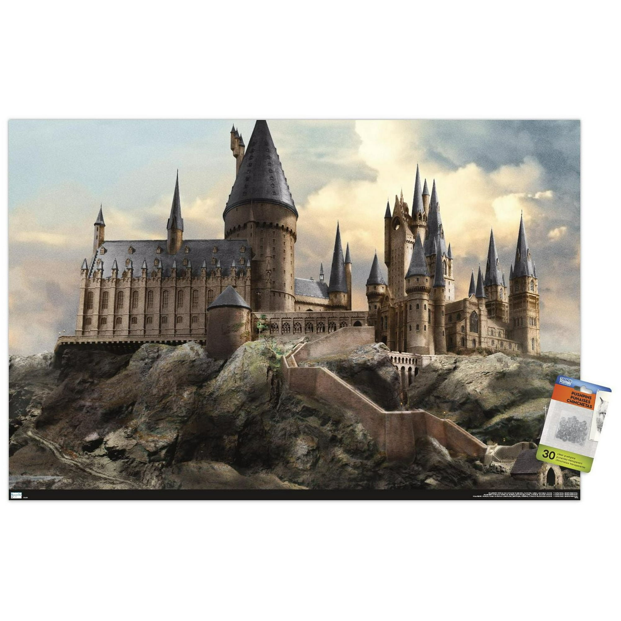Click here for Trends International The Wizarding World: Harry Po... prices