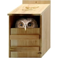 WoodLink Flicker Birdhouse 2.5" Hole Nesting Box for Flickers, Owls ...