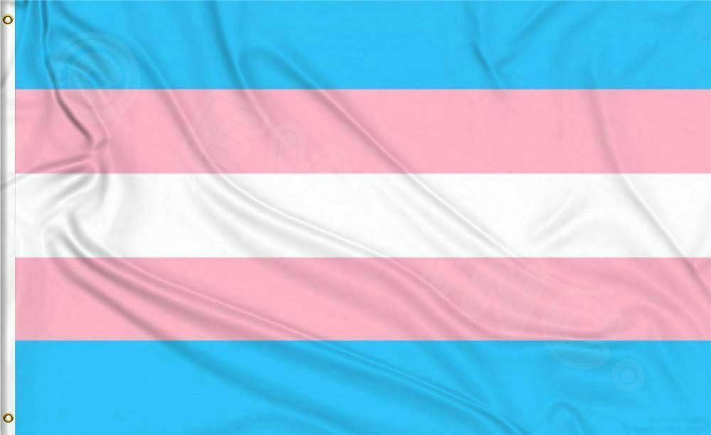 Truscum trans gay flag - gagascounter