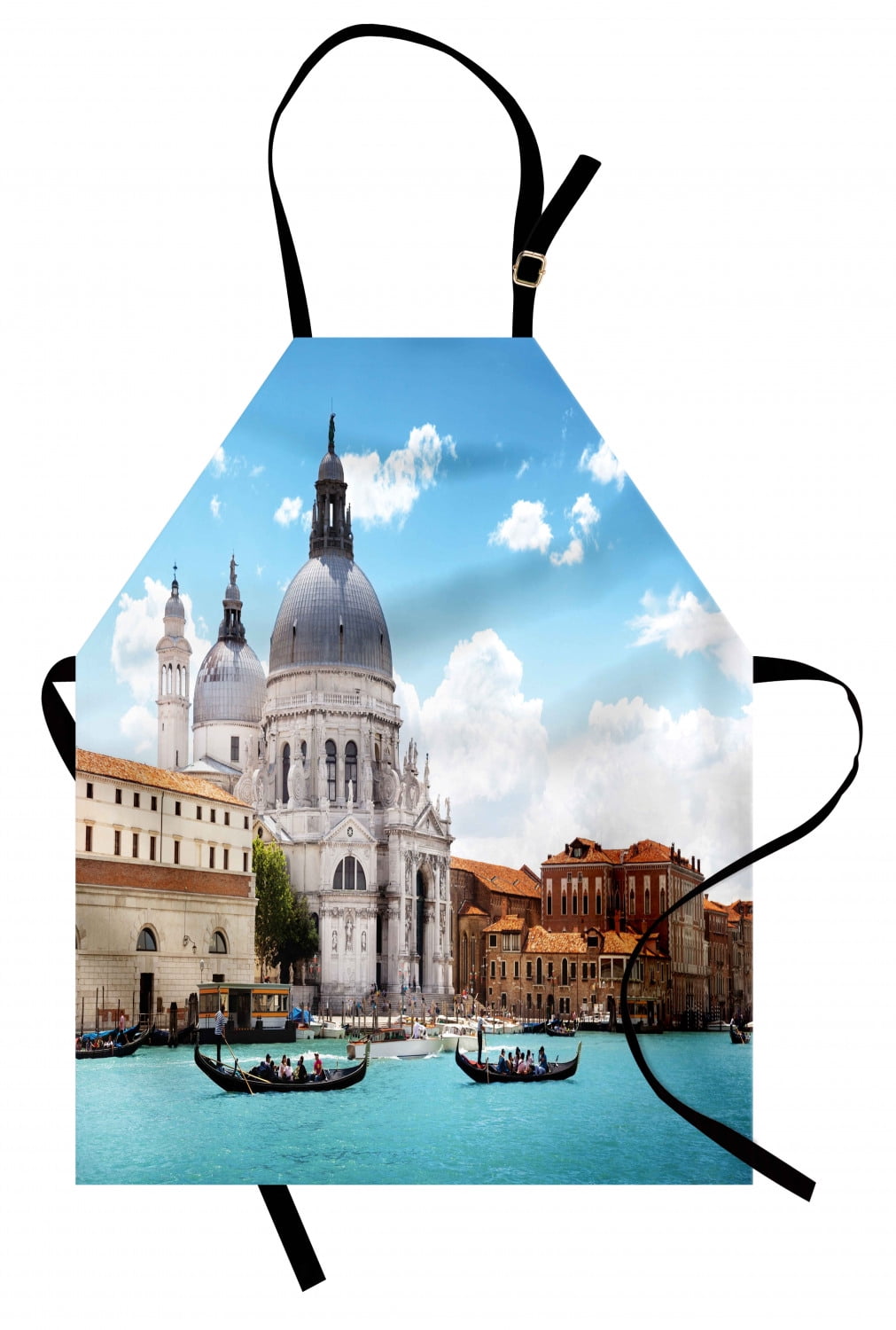 Venice Apron Grand Canal And Basilica Santa Maria Della Salute Italian ...