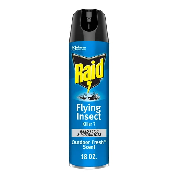 Raid Bug Spray