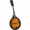 Rover RM-35S Standard Student A-Model Mandolin, Sunburst - Walmart.com