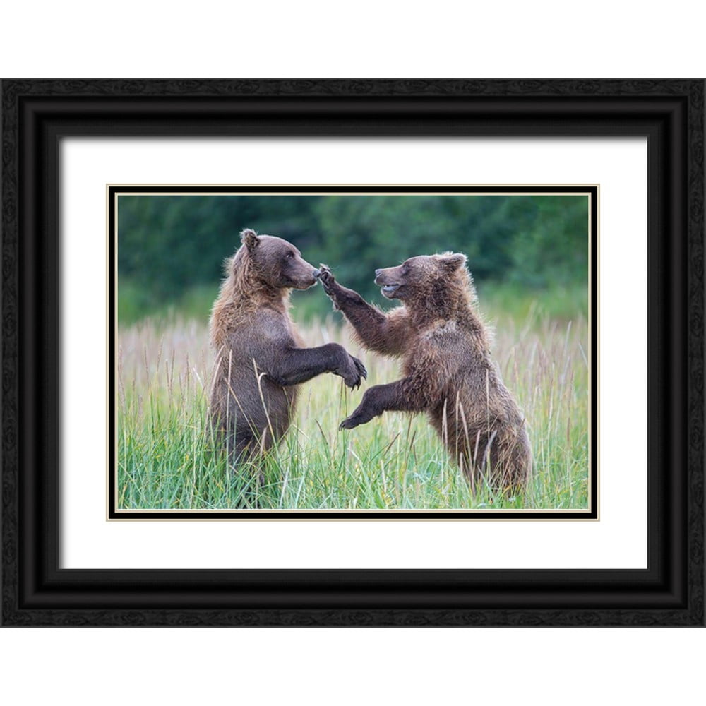 Hao Jiang, 32x23 Black Ornate Wood Framed with Double Matting Museum ...