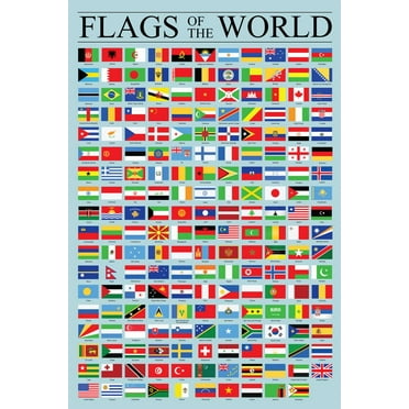 World Flags Educational Poster Laminated - Young N Refined - Walmart.com