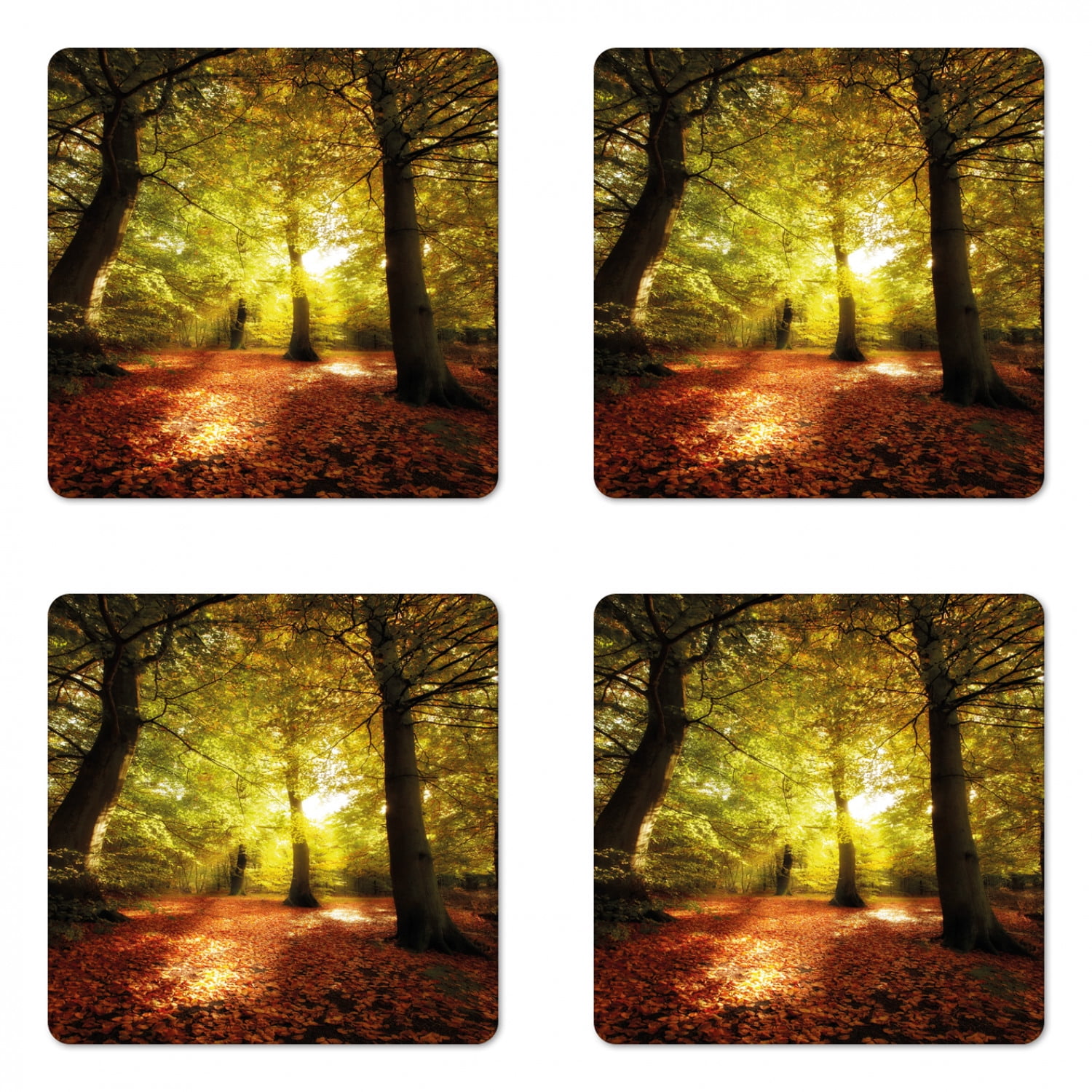 Fall Coaster Set of 4, Blurry Hazy View of Forest Defoliation ...