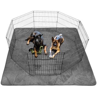 Disney Mickey and Minnie Kids Water Splash Pad Mat and Sprinkler by ...