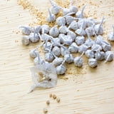 TNT Fireworks Pop-Its Party Snaps, 40 Boxes, 2,000 Snappers, Trick ...