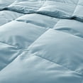 Puredown - Medium Weight Goose Feather and Down Comforter, Feather ...